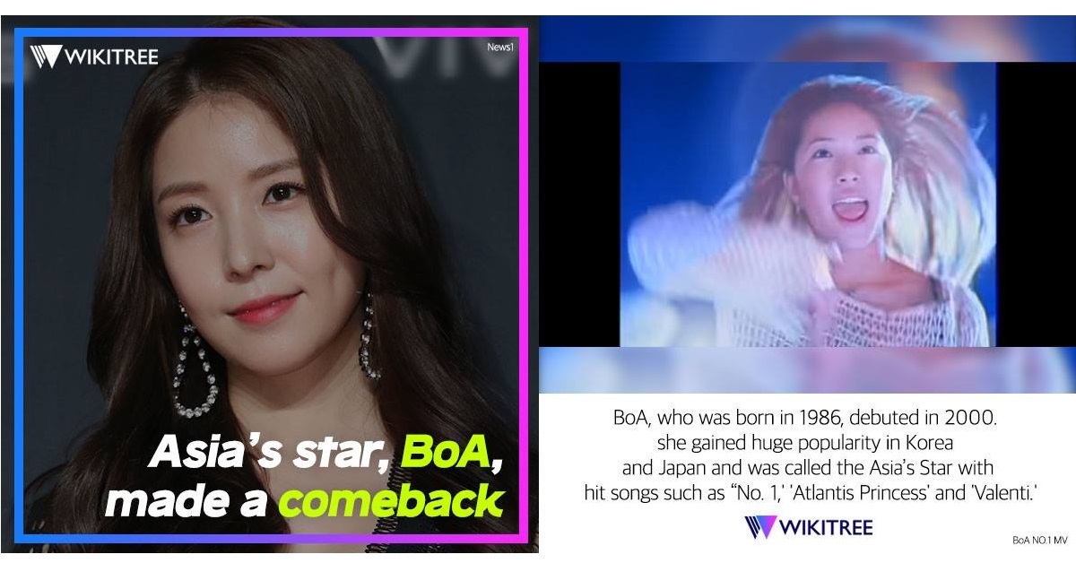 Asia's star BOA made a comeback | 위키트리