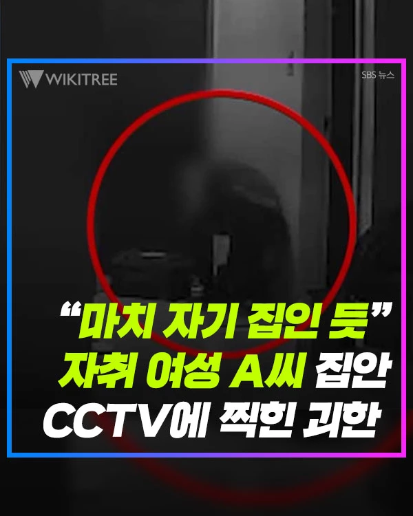 "마치 자기 집인 듯" 자취 여성 A씨 집안 CCTV에 찍힌 괴한 | 위키트리