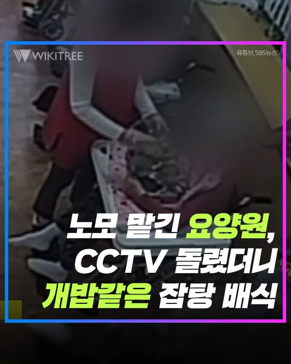 노모 맡긴 요양원, CCTV 돌렸더니 개밥같은 잡탕 배식 | 위키트리
