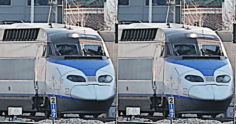 오늘(23일) KTX에서 일어난 섬뜩한 소식...승객들 모두 깜짝 놀랐다(feat.정체) | 위키트리