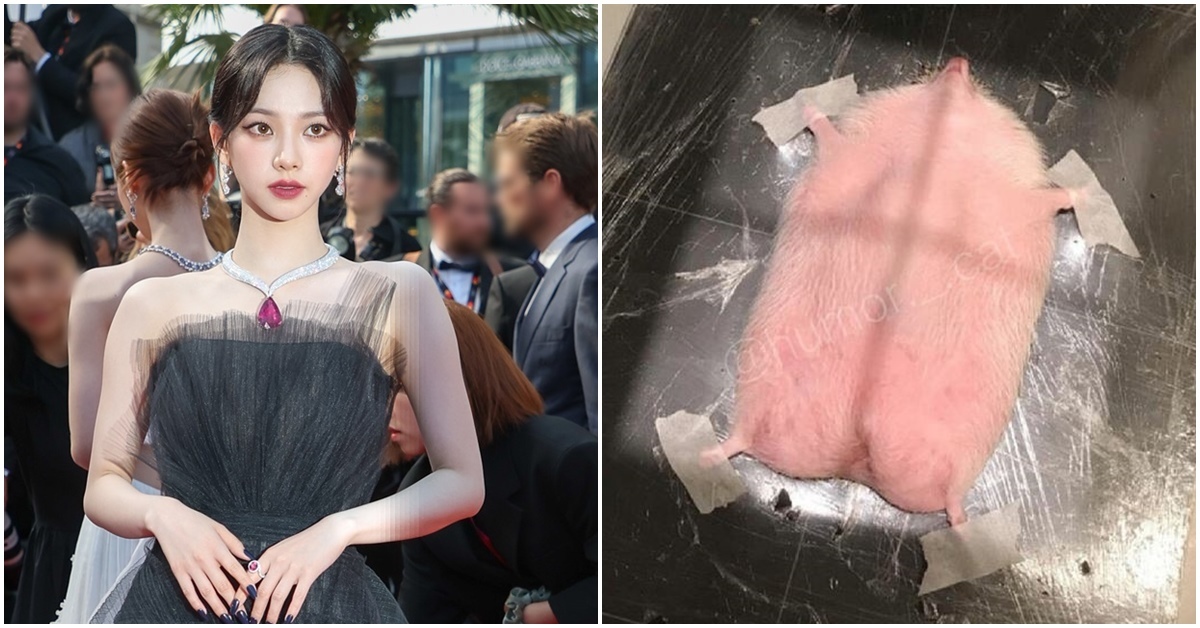 Aespa’s Karina Likes Unexpected Post On Instagram (+Ningning's reaction) | 위키트리