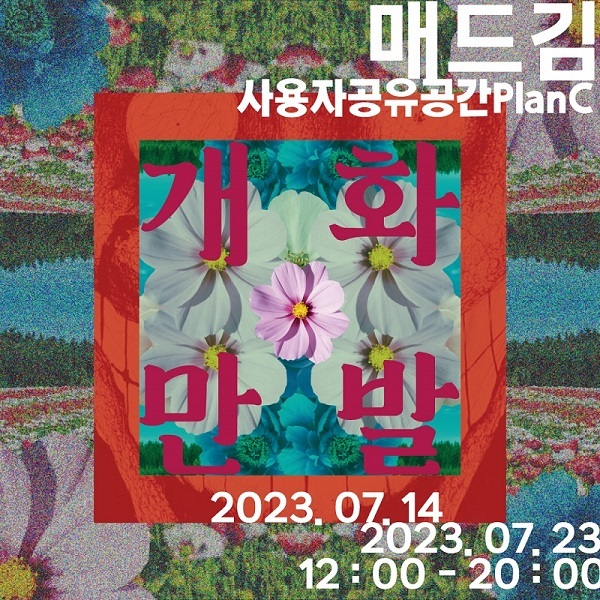 Mad Kim 개인전 [개화, 만발] | 위키트리