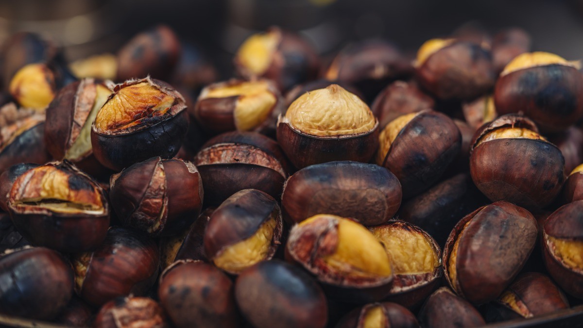 8 Irresistible Reasons You Need to Try Roasted Chestnuts(Gun-Bam ...